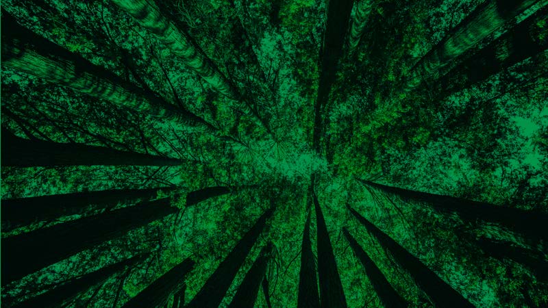 Arc Cardinal Product Catalogs | Explore Our Full Range of Tabletop ...