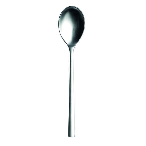 Living Satin Dinner Spoon | Arc Cardinal
